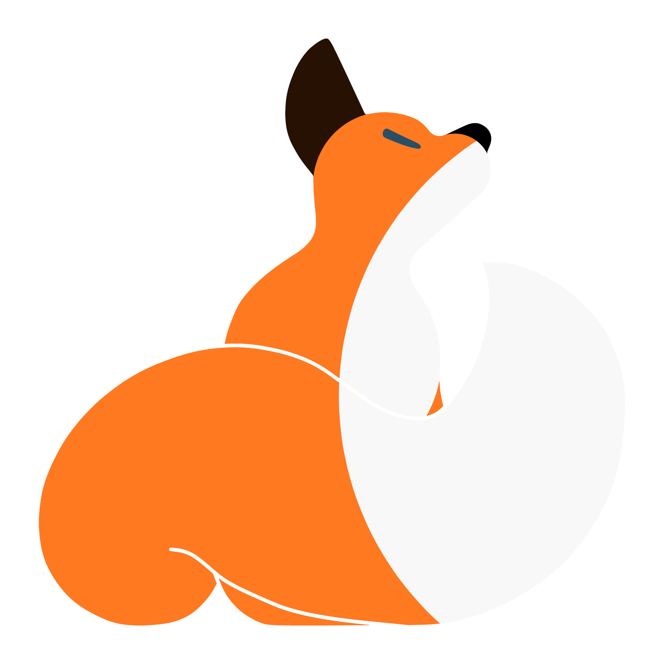 Shop - Chase the Fox